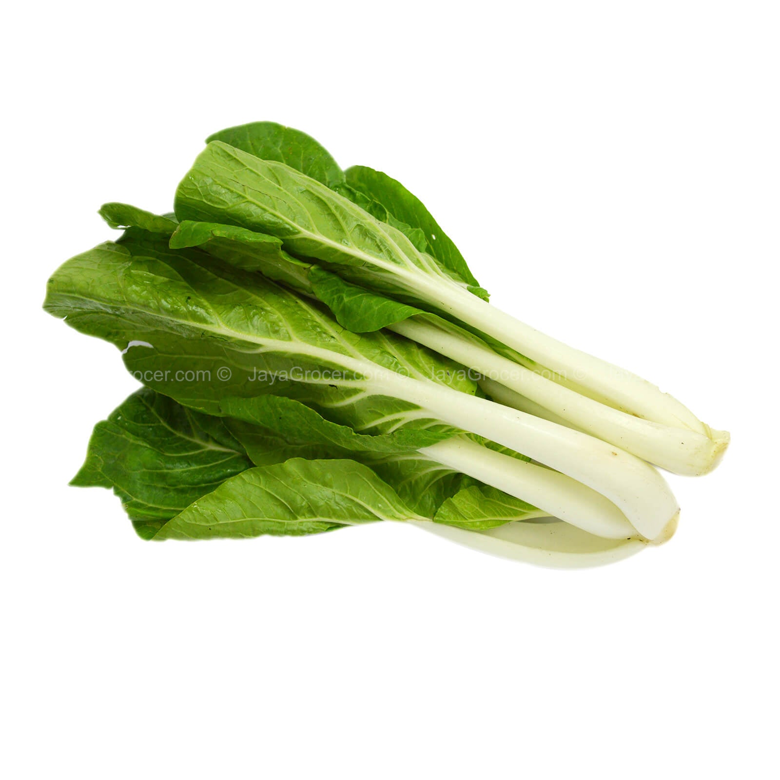 Bok Choy (Sawi Putih) 350g – Jaya Grocer | Trendcell Sdn. Bhd. SSM ...