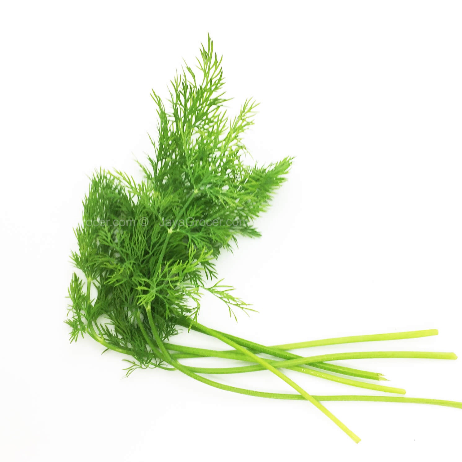 Genting Garden Dill Leaves 10g – Jaya Grocer | Trendcell Sdn. Bhd. SSM ...