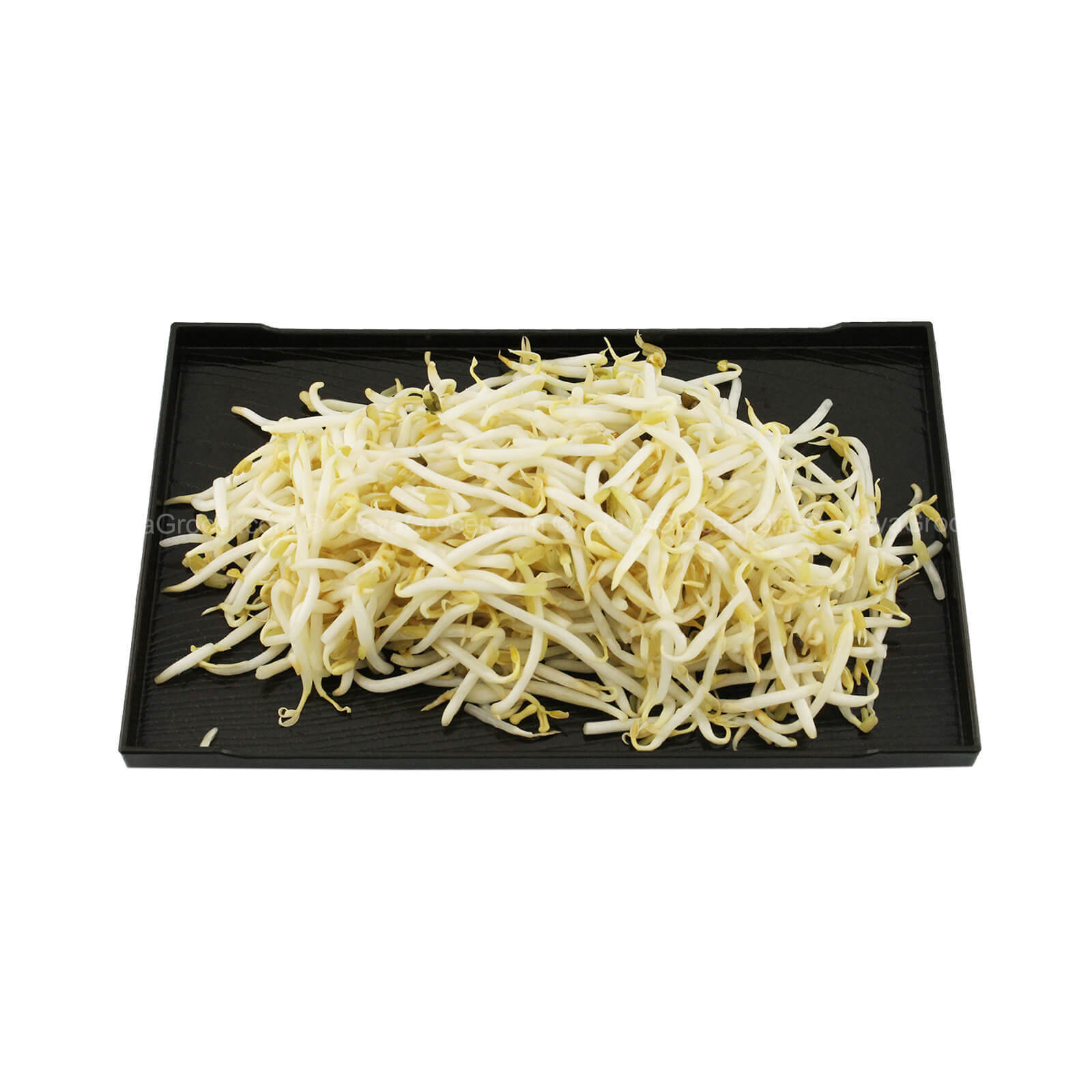 Bean Sprout (Taugeh) 500g – Jaya Grocer | Trendcell Sdn. Bhd. SSM ...
