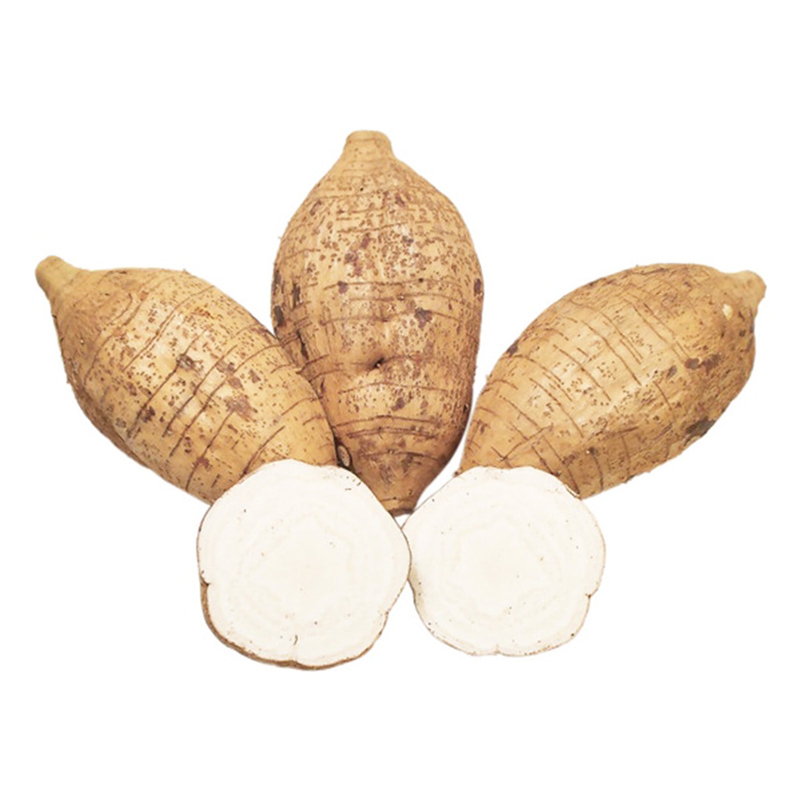 Arrow Root (China) 500g – Jaya Grocer | Trendcell Sdn. Bhd. SSM ...